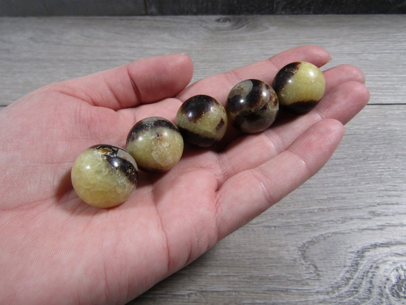 Septarian Nodule Calcite Barite 18 to 20 Mm Sphere S28 - Etsy