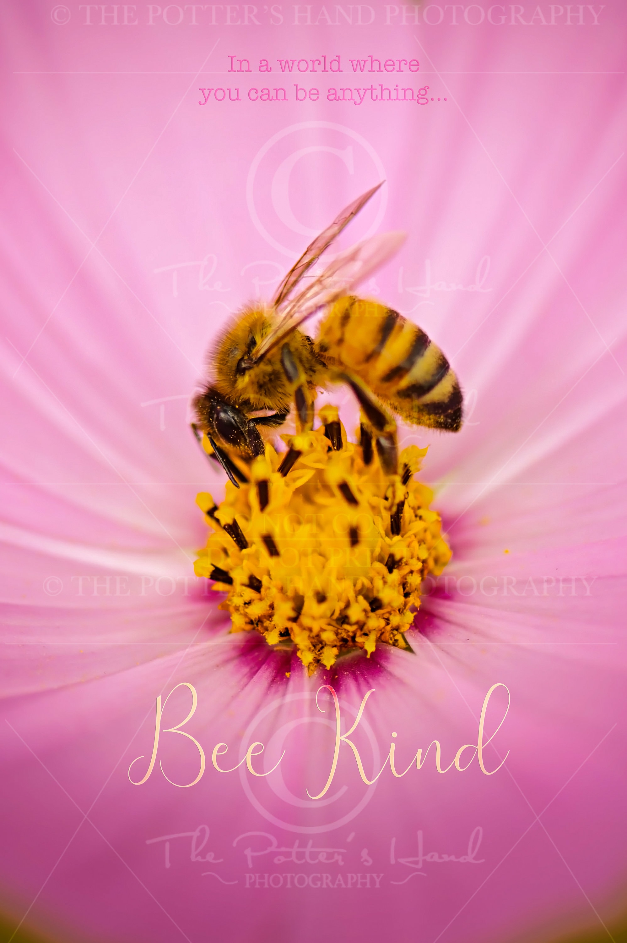 IPhone Wallpaper Background Be Kind Bee Cosmo Pink Flower - Etsy
