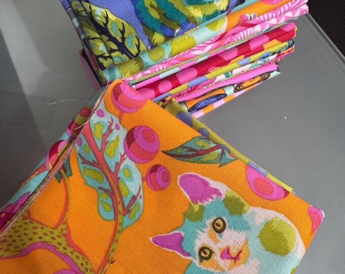 Tula Pink Tabby Road Original FQ Bundle - Etsy