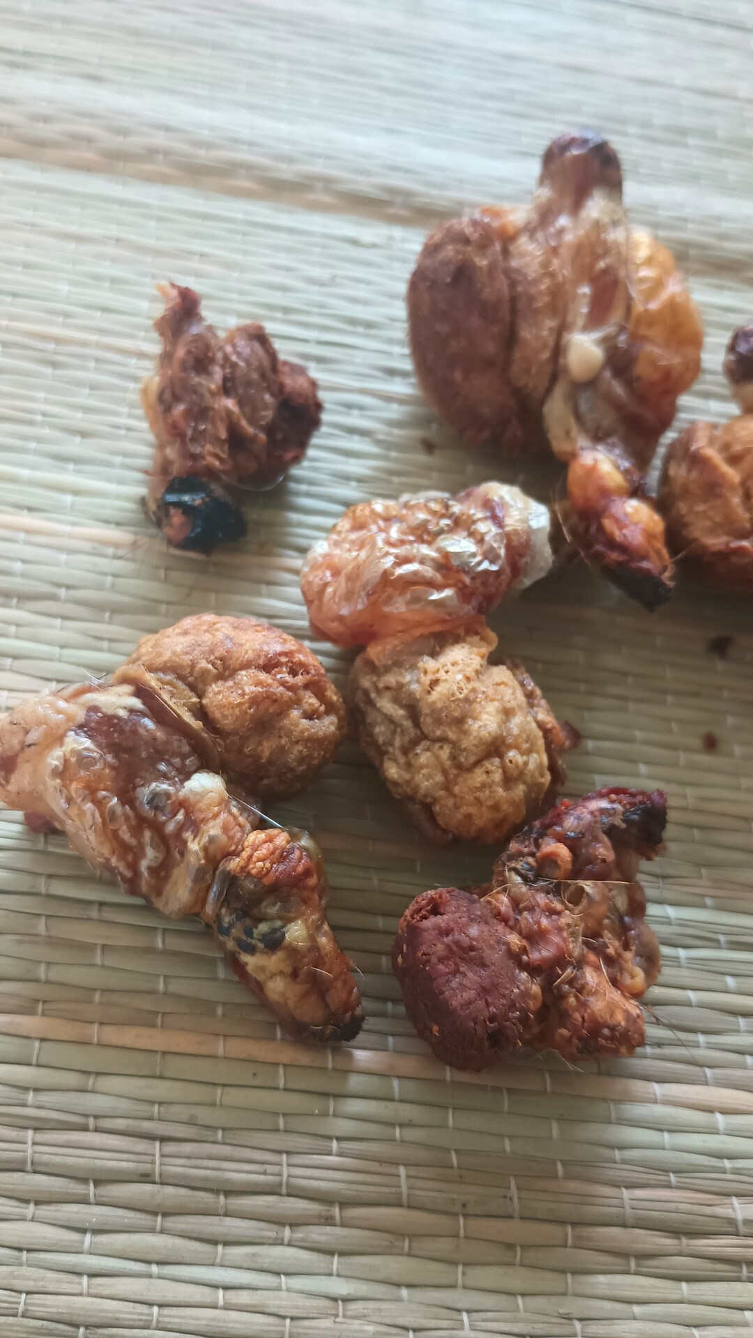 Dried Goat TESTICLES... Testiculos De Chivo Secos - Etsy