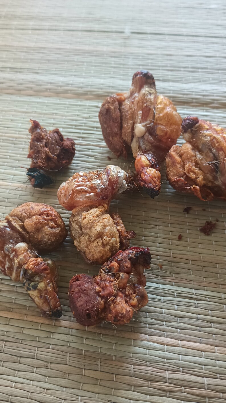 Dried Goat TESTICLES... Testiculos De Chivo Secos - Etsy