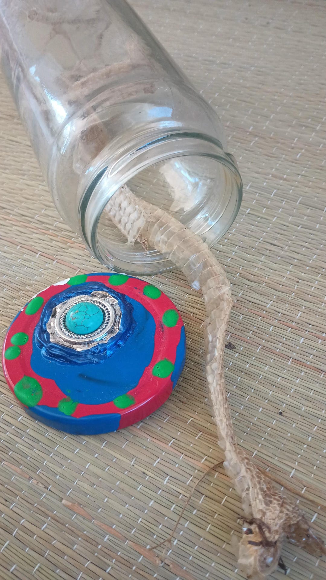 Complete Snake Skin - Etsy
