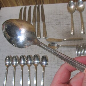 Vintage Knickerbocker Roseanne Pattern Silverplate Flatware Silverware ...
