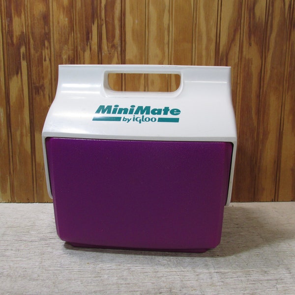 90s Lunch Box - Etsy