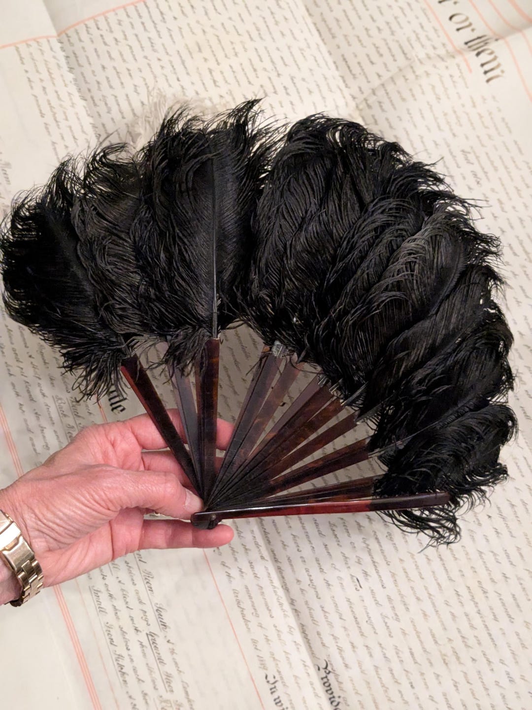 Two Antique Ostrich Feather Hand Fans Ladies Fans for Repairs - Etsy