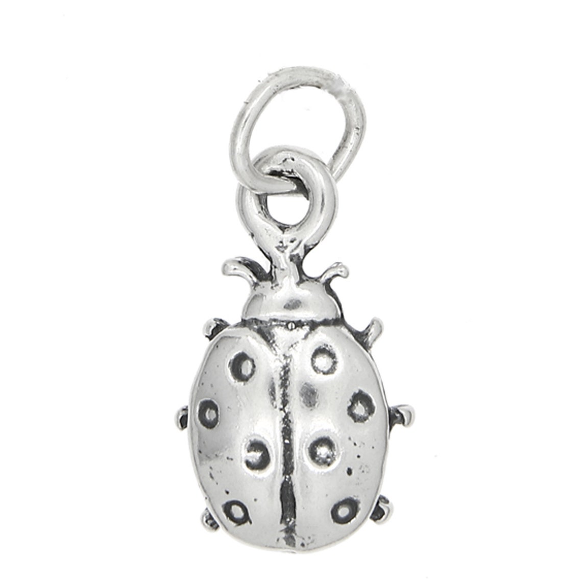 Sterling Silver Ladybug Charm 3d Charm with Options | Etsy