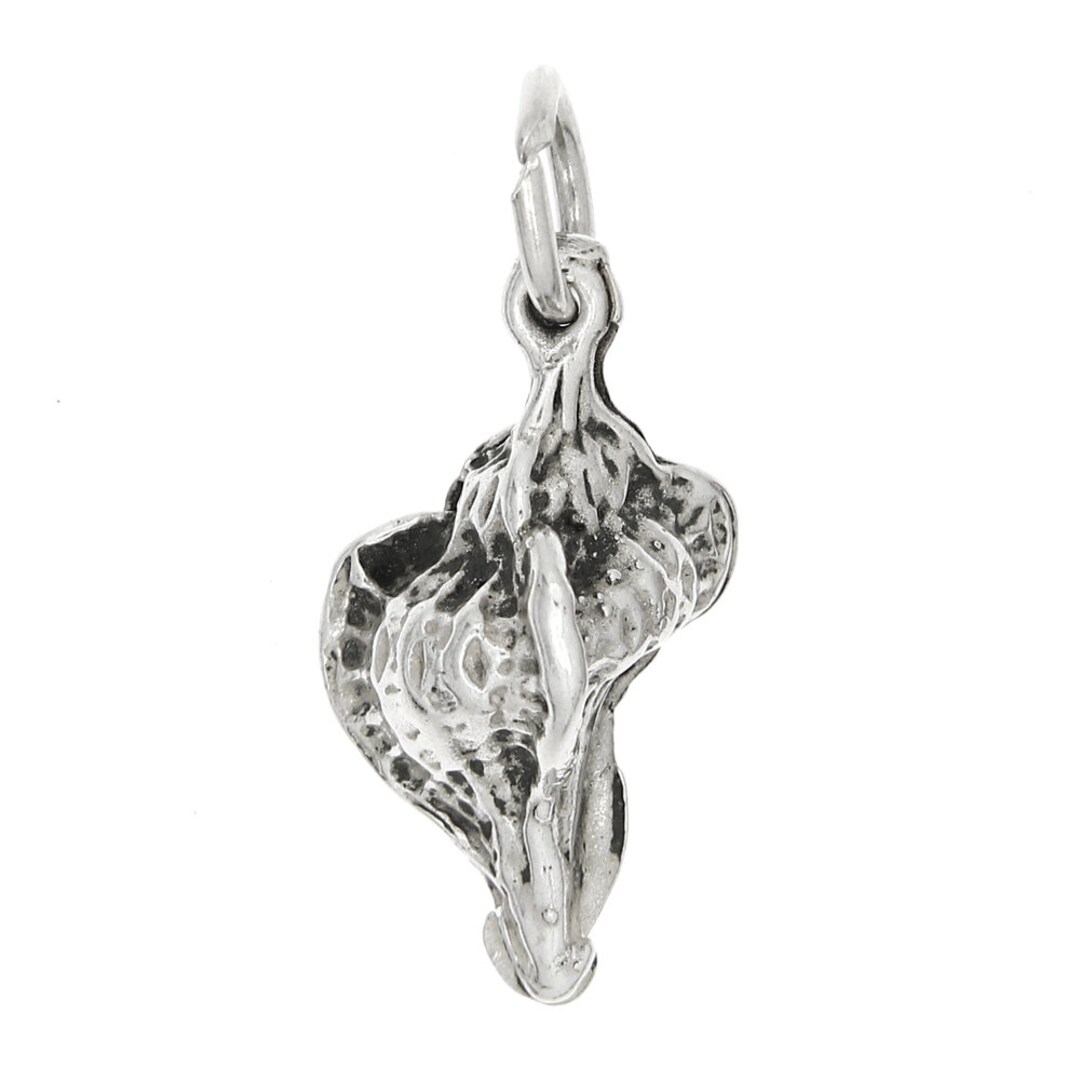 Sterling Silver Conch Shell Charm 3D Charm With Options - Etsy