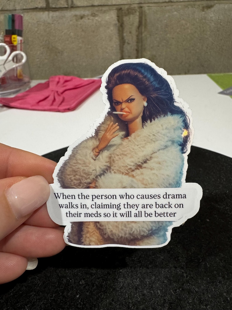 Delulu Sticker | Funny Meme Vinyl Decal | Sassy Doll Humor (waterproof ...