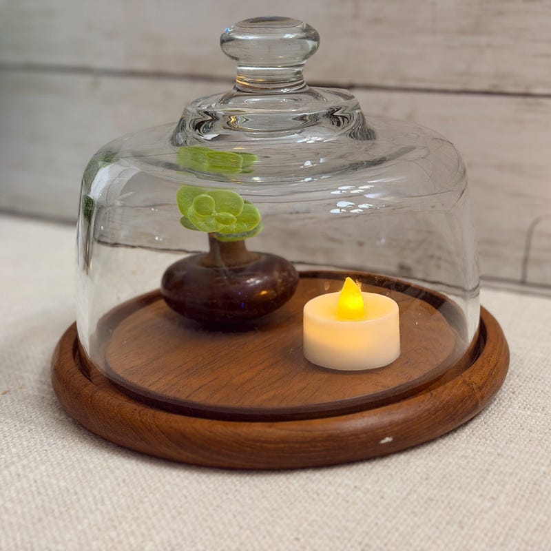 Cloches and Vignettes - Etsy
