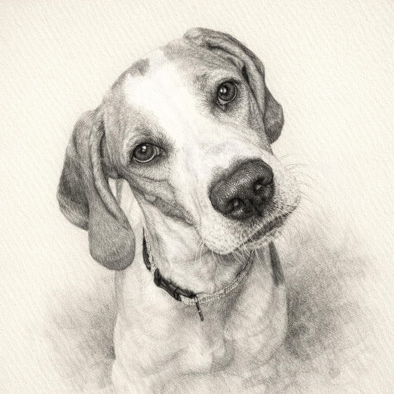 Pencil FINE ART Custom Pet Portrait Drawing | Dog Portrait From Photo ...