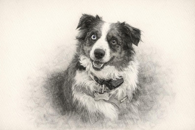Pencil FINE ART Custom Pet Portrait Drawing | Dog Portrait From Photo ...