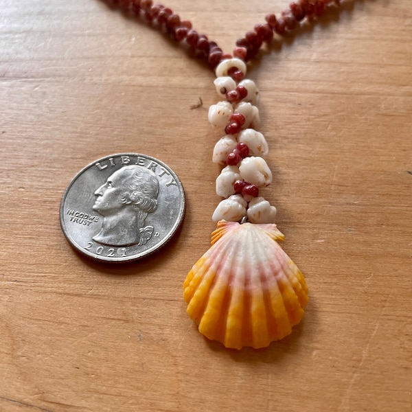 Kahelelani Shells - Etsy