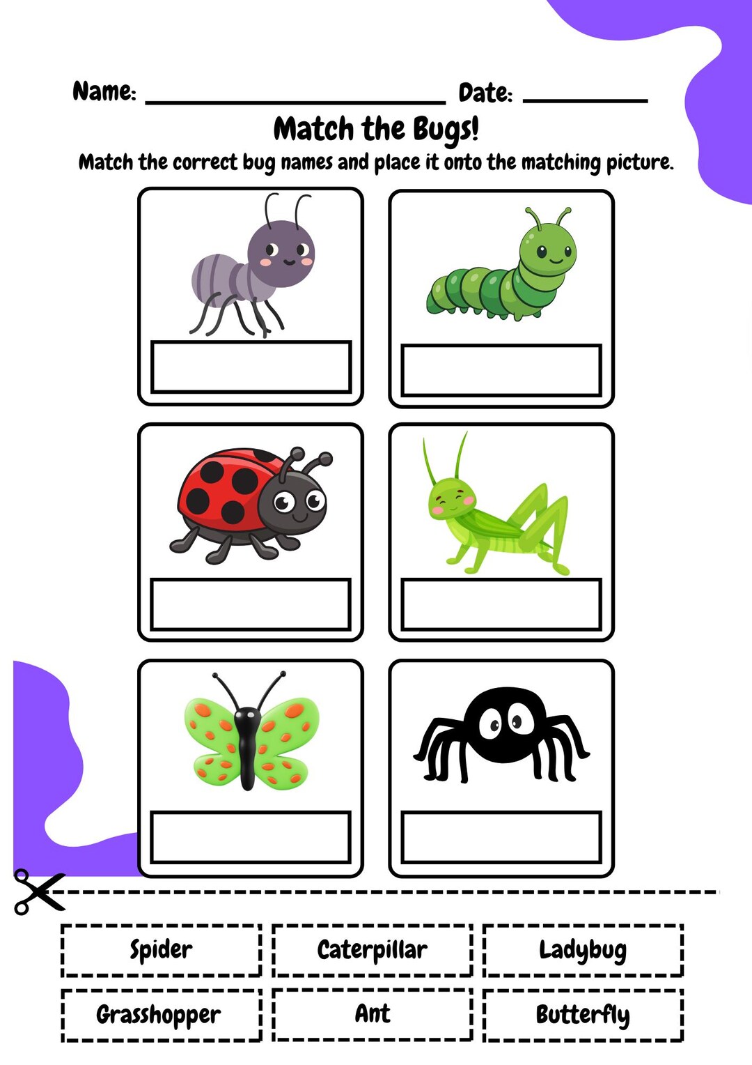 Bug Matching Activity Pack for Toddlers: EYFS Insect Learning ...