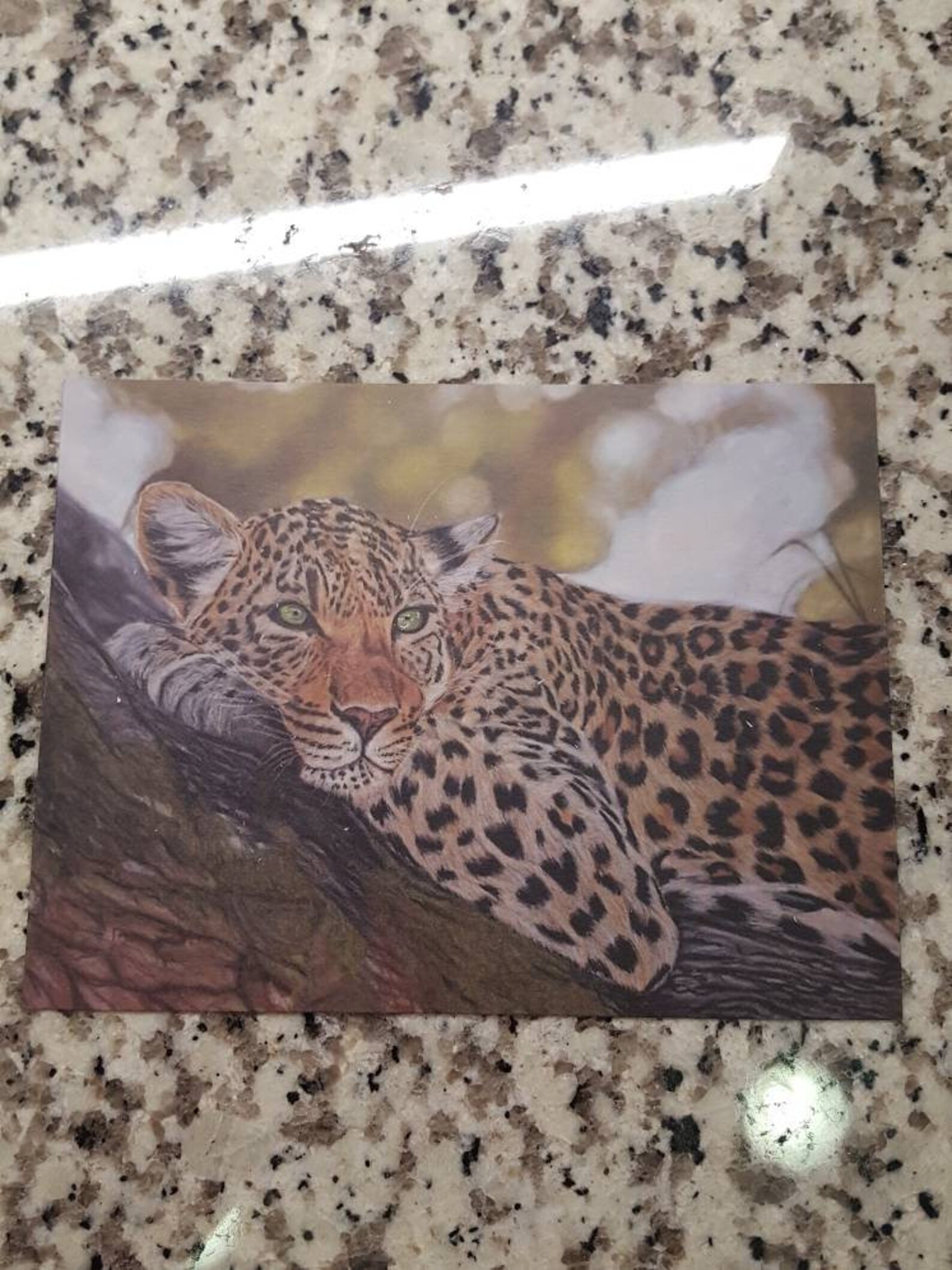 Leopard Post Card Print of Pastel Painting - Etsy