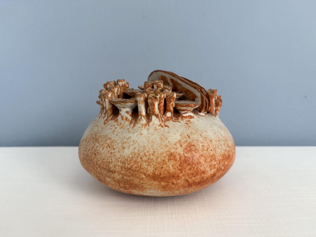 Vintage Isabel Parks Stoneware Studio Pottery Sea Form Pot - Hickory ...