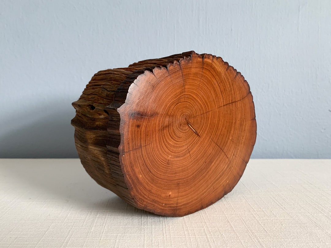 Vintage Hand Crafted Wood Bark Log Box - Recycled Wood Jewelry Box - Etsy