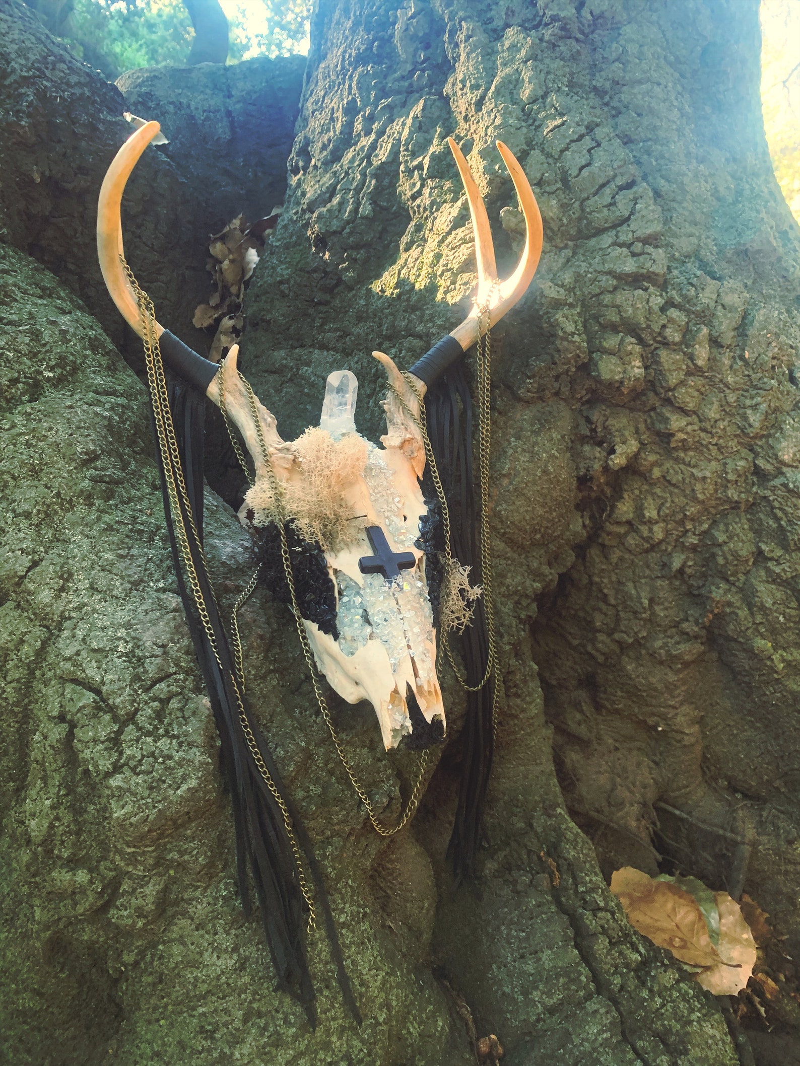 The Shred Hunter Black Metal Crystal Deer Skull - Etsy
