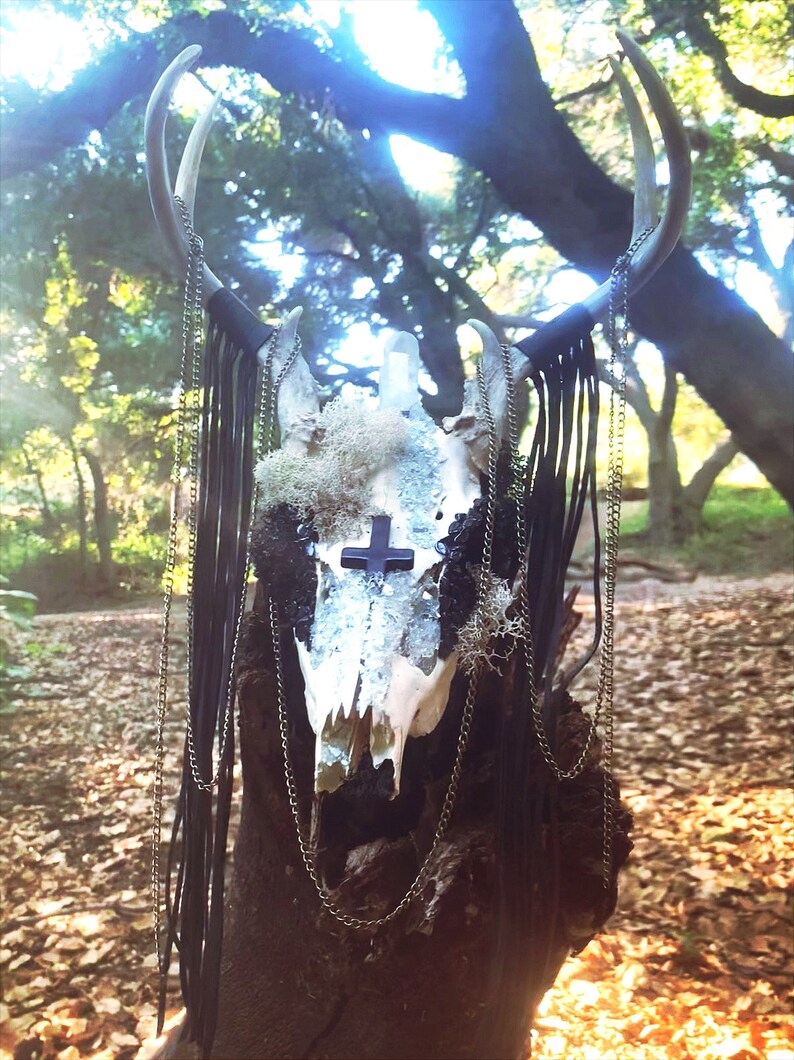 The Shred Hunter Black Metal Crystal Deer Skull - Etsy