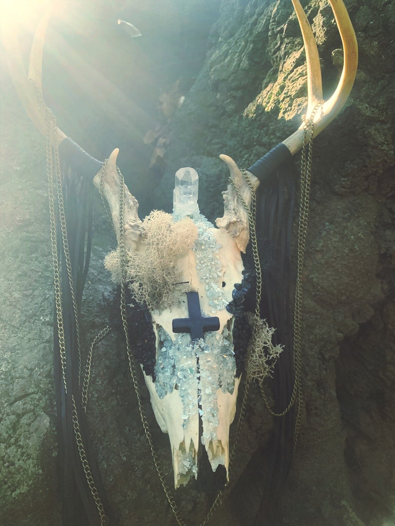 The Shred Hunter Black Metal Crystal Deer Skull - Etsy