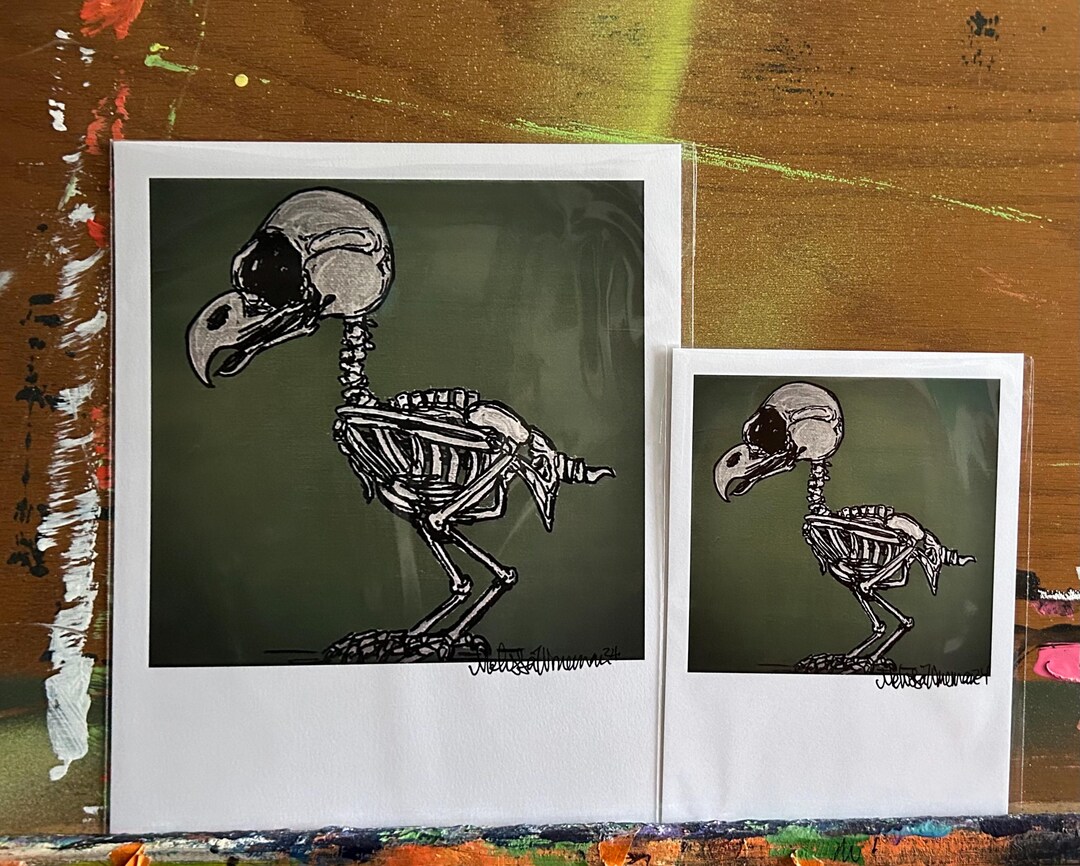 Screech Owl Skeleton Limited Prints - Etsy