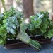 Green Silk Hops Bridal Boho Bouquet Faux Succulent Hand Tied | Etsy