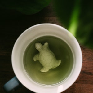 Tortoise Gifts - 60+ Gift Ideas for 2023