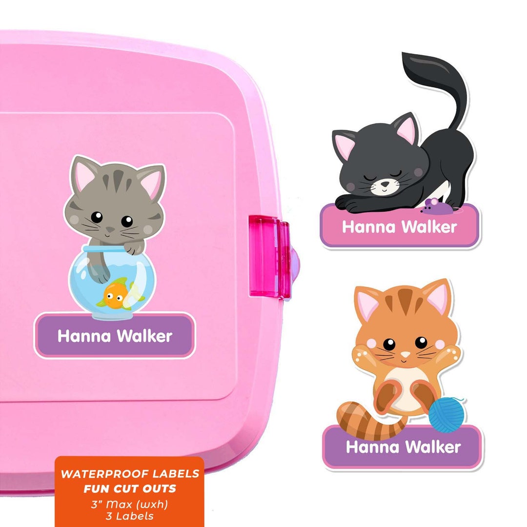 Fun Cut Outs, Name Labels for Kids Water Bottles, Kittens pink - Etsy