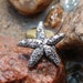 Starfish Lapel Pin - CC415- Beach, Ocean, Seaside, Nautical, and ...