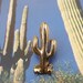 Gold Cactus Lapel Pin-cc488g- Arizona, Desert, and Cactus Pins - Etsy