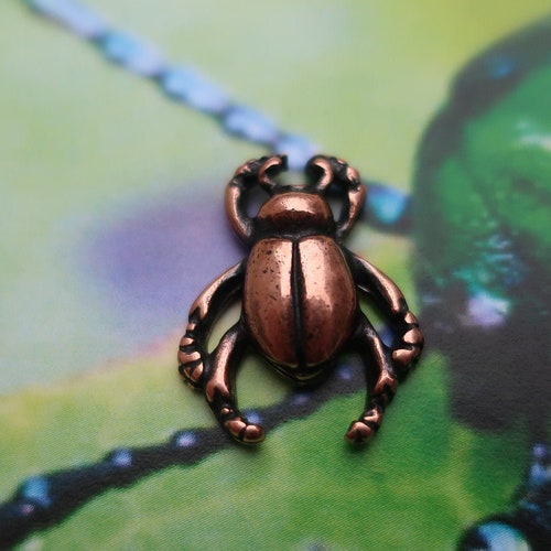 Dung Beetle Lapel Pin CC318 Beetle Insect and Bug Pins - Etsy