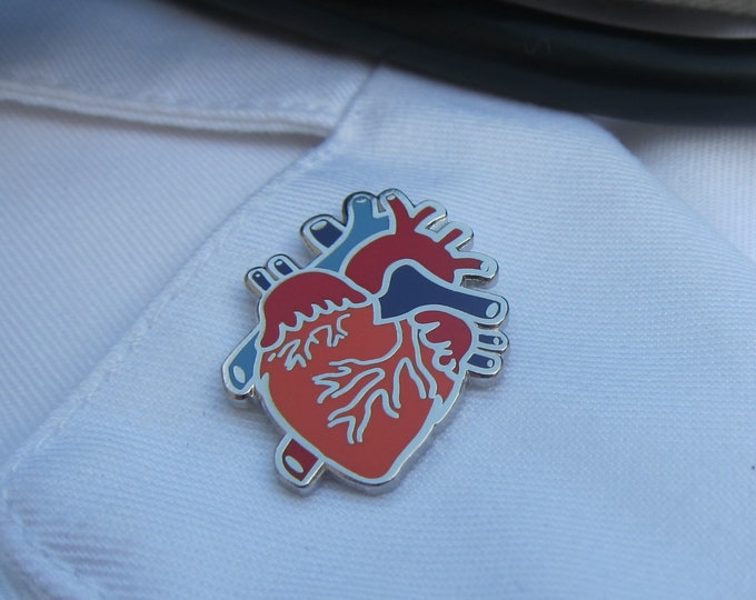 Stomach Lapel Pin CC619 Medical and Anatomy Pins Digestion - Etsy