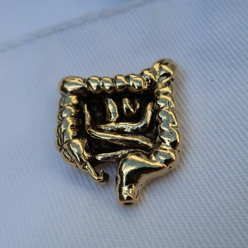 Gold Intestine Lapel Pin CC346G Gastrointestinal Pins | Etsy