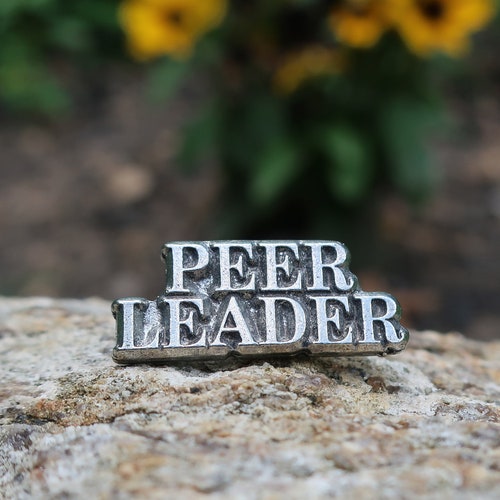 100% Lapel Pin CC566 Recognition and Award Pins - Etsy