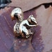 Squirrel Gold Dipped Pewter Lapel Pin- CC499G- Squirrel, Woodland, and ...