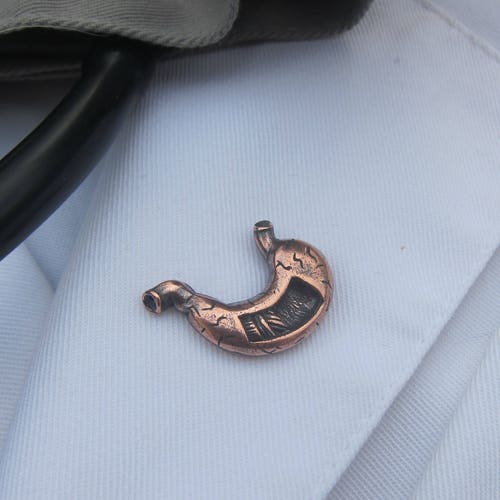 Copper Stomach Lapel Pin CC619C Medical and Anatomy Pins - Etsy