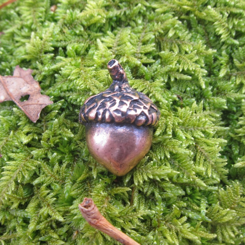 Acorn Button - Etsy