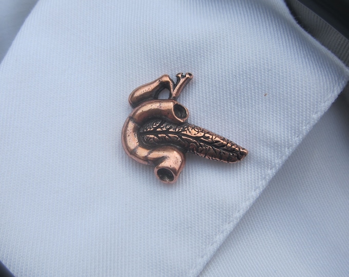 Copper Liver Lapel Pin CC519C Medical and Anatomy Lapel Pins | Etsy