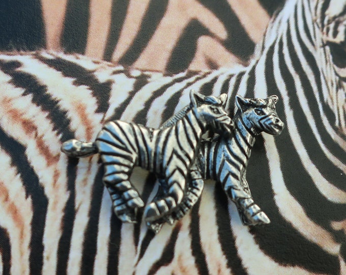 Rainbow Zebra Pin - Etsy