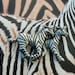 Zebra Lapel Pin- CC283- Zebra, Wildlife, and Zoo Animals - Etsy