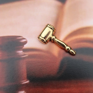 Gold Gavel Lapel Pin-cc553g-law, Courts of Law, Succession, Mallet, and ...