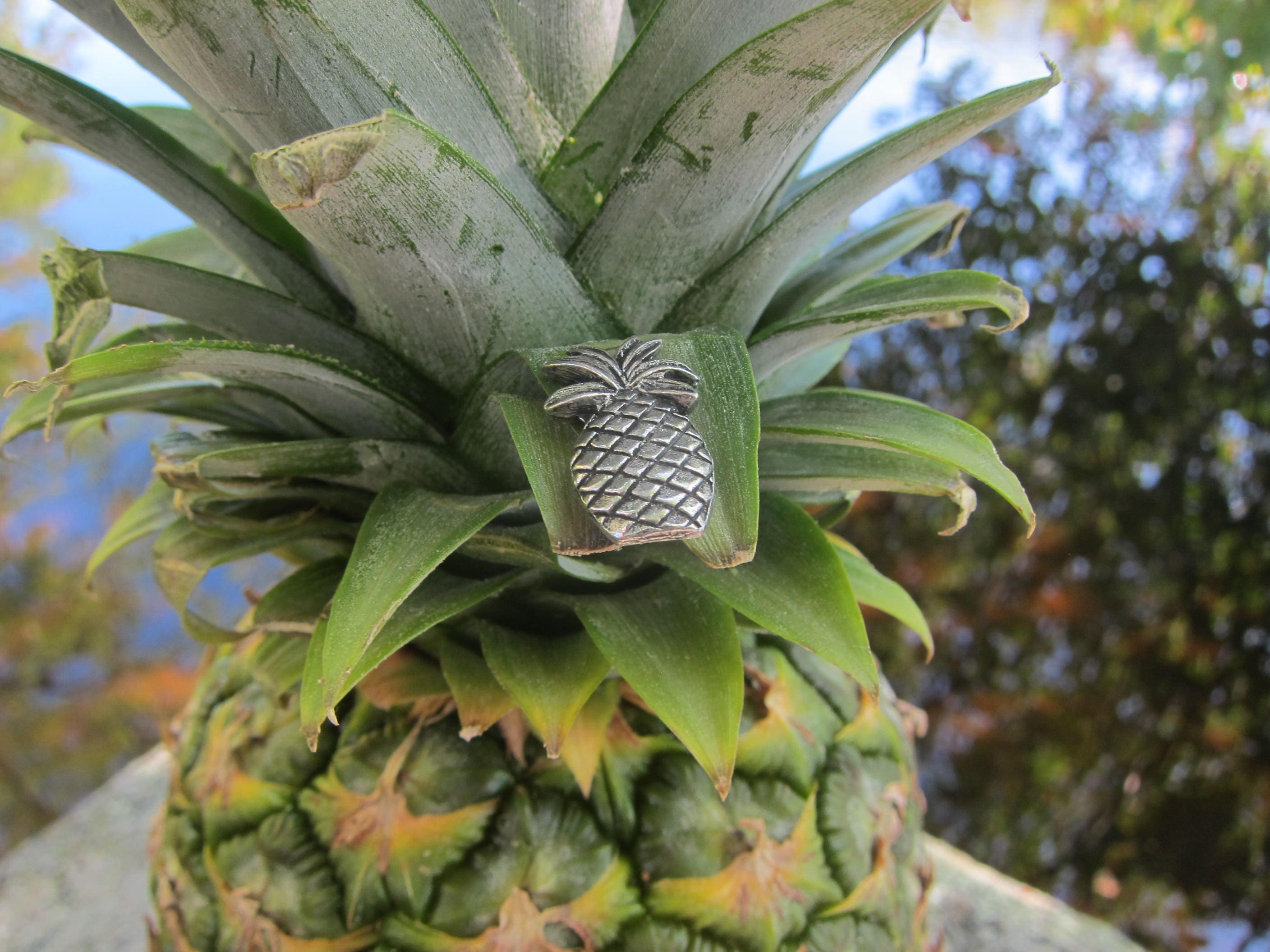 Pineapple Lapel Pin - CC111- Hospitality, Fruit, Tropical, and ...