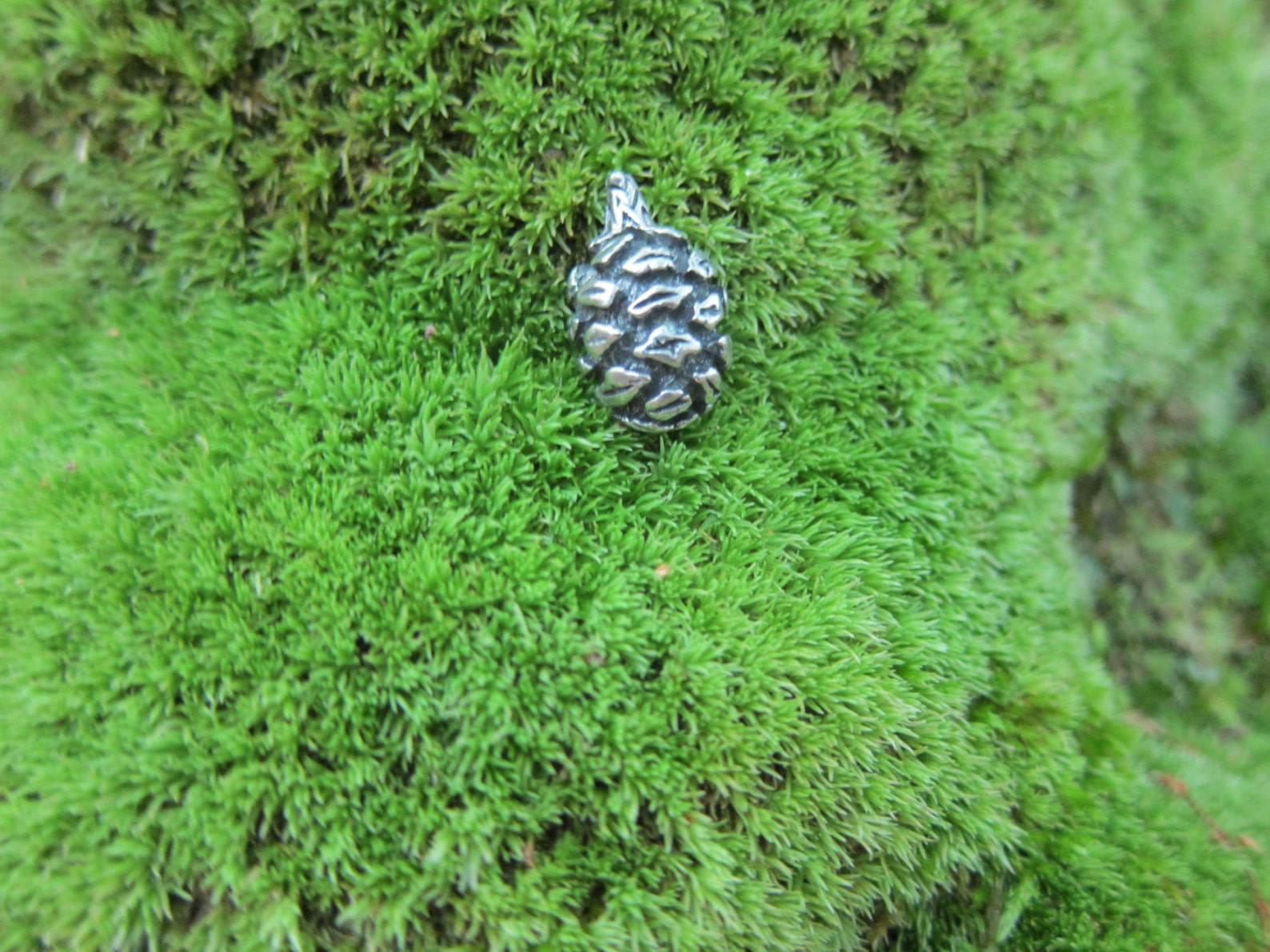 Redwood Cone Lapel Pin CC461 Red Wood Pine Cone Pine Cones - Etsy