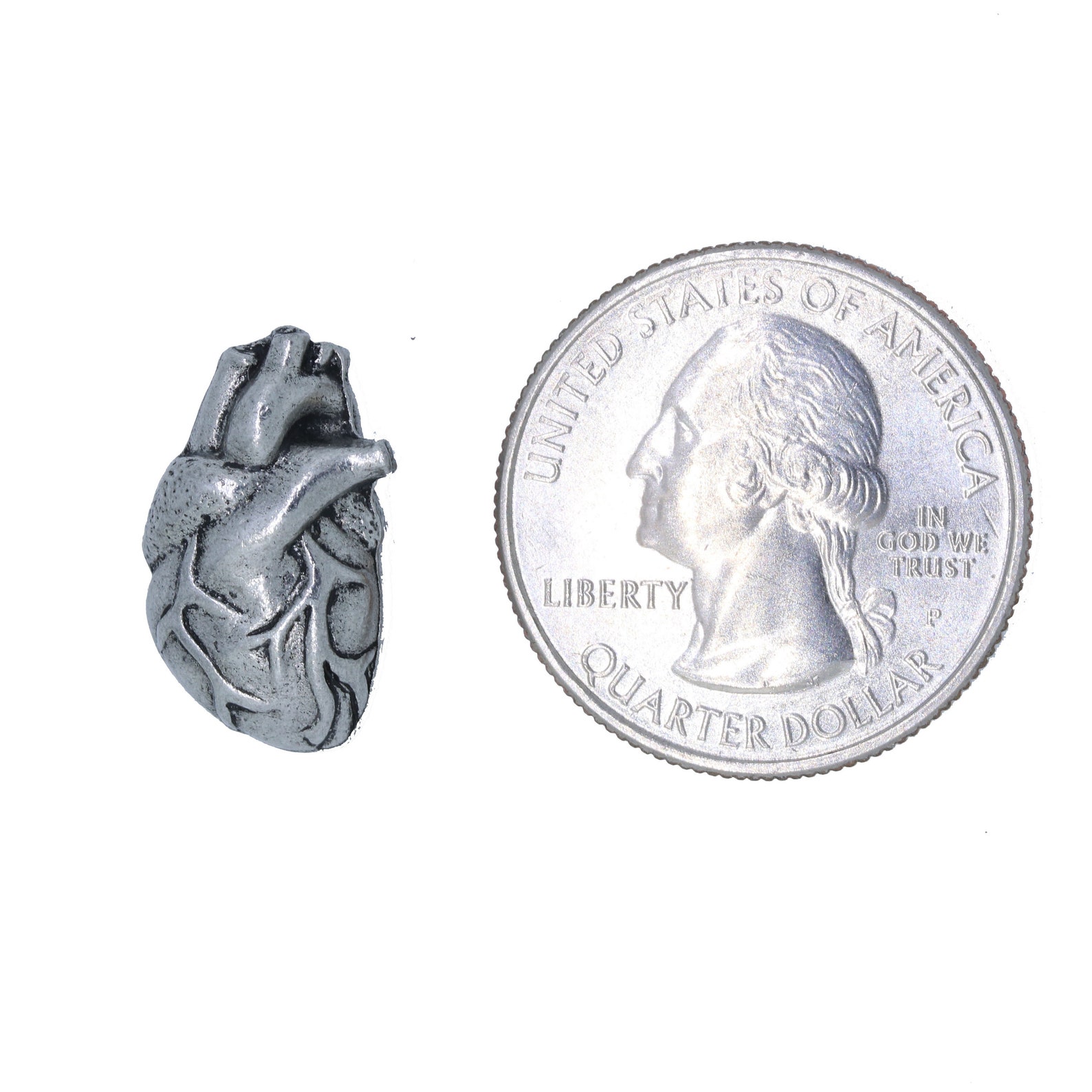 Human Heart Lapel Pin CC389 Medical and Anatomy Pins for Doctors and ...