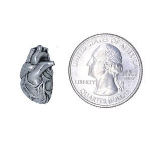 Human Heart Lapel Pin - CC389- Medical and Anatomy Pins for Doctors and ...
