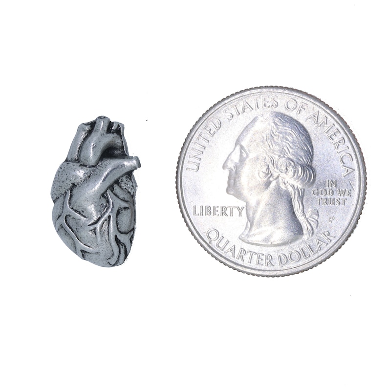 Human Heart Lapel Pin CC389 Medical and Anatomy Pins for | Etsy