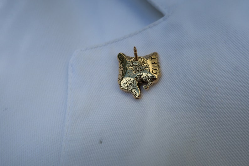 Gold Intestine Lapel Pin CC346G Gastrointestinal Pins | Etsy