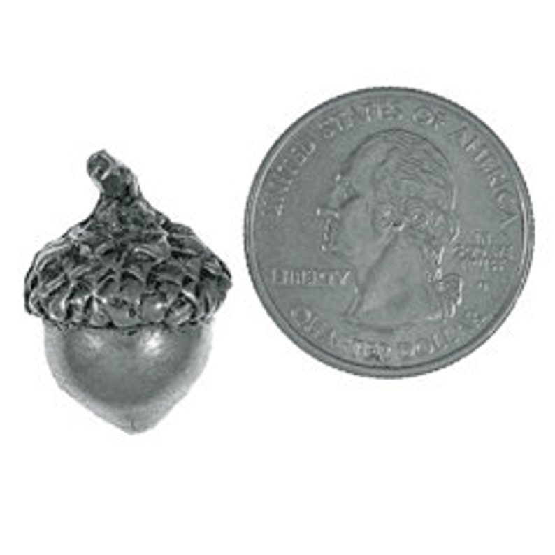 Acorn Lapel Pin CC292 Oak Nut Oak Tree Seeds and | Etsy