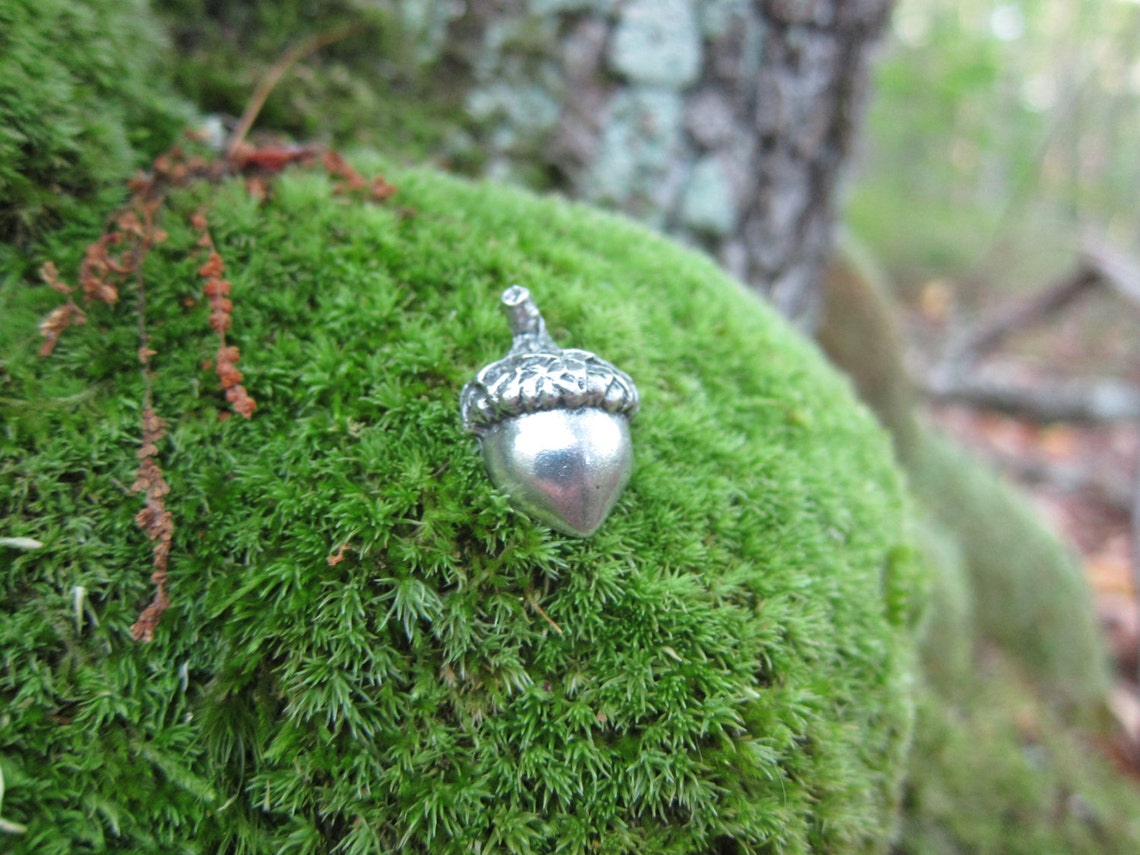 Acorn Lapel Pin CC292 Oak Nut Oak Tree Seeds and | Etsy