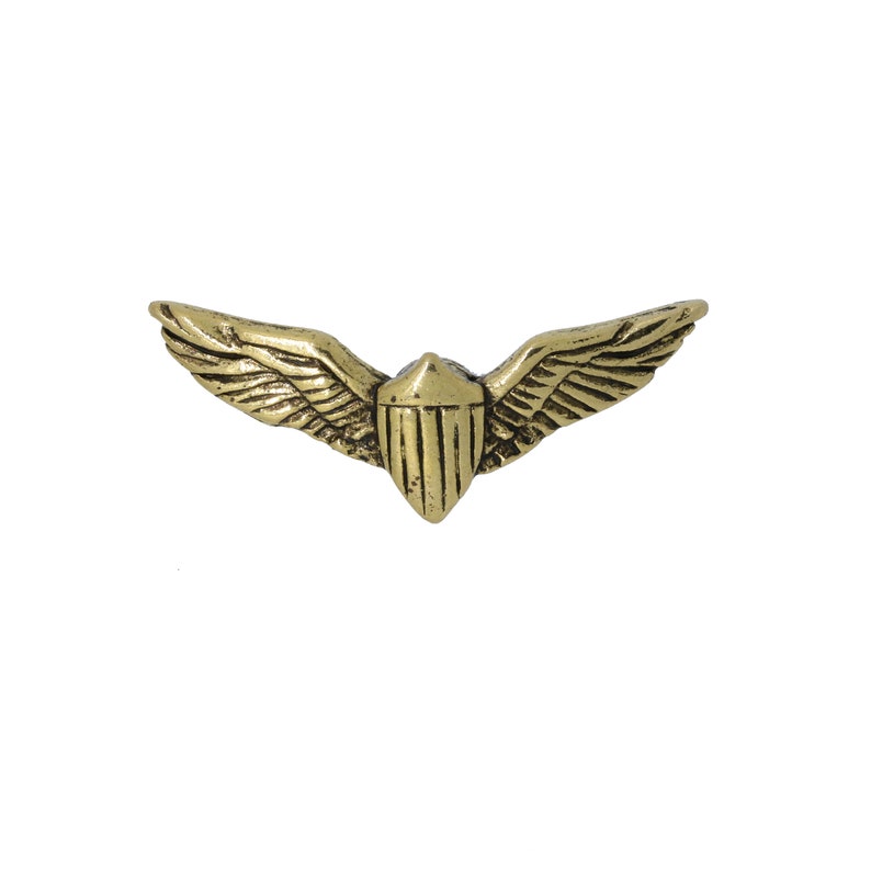 Gold Pilot Wings Lapel Pin-cc497g- Aviation Pins for Pilots, Airplanes ...