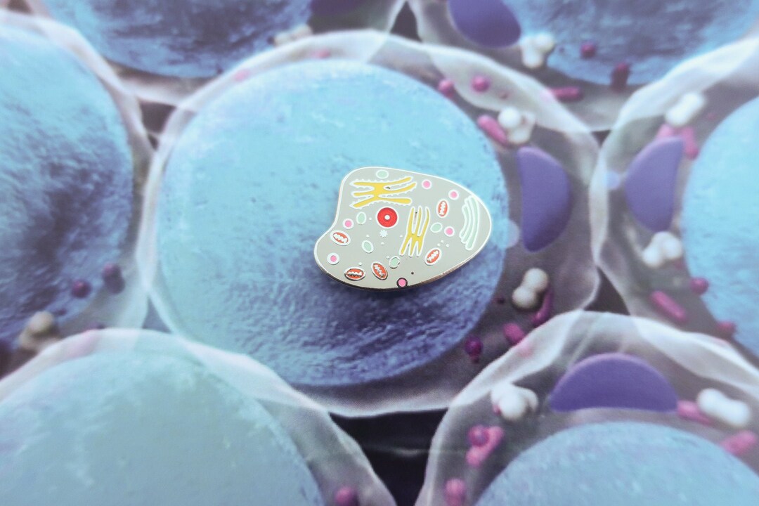 Animal Cell Enamel Inlay Lapel Pin- EP105- Animal Cell, Animal Biology ...